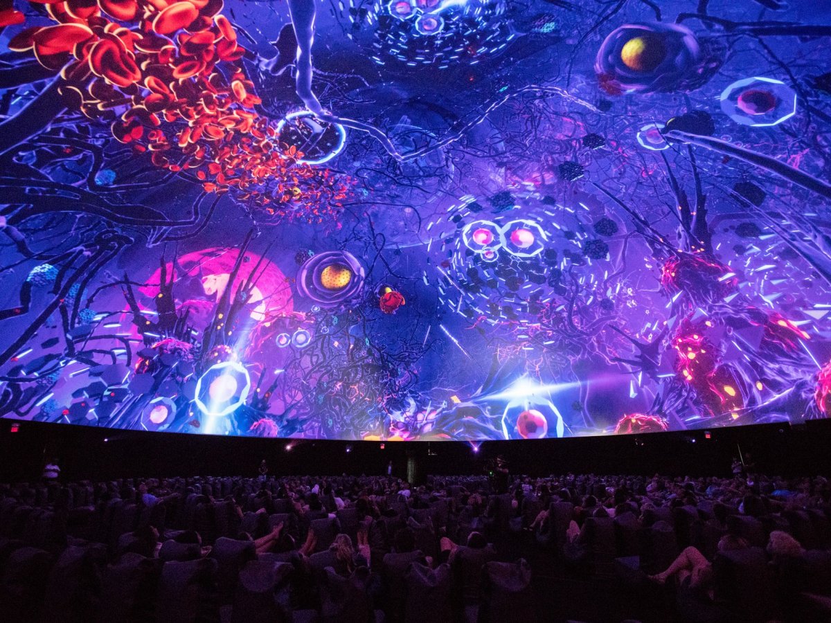 HP Coachella Experience Case Study | AEG Worldwide